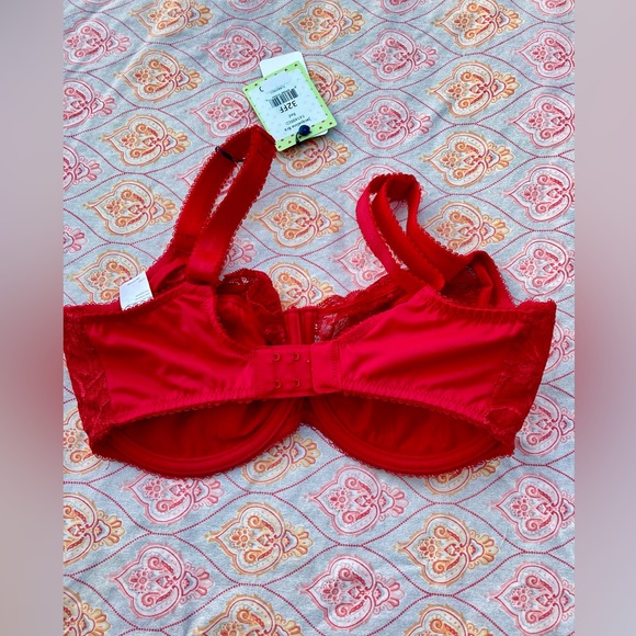 Fantasie | Intimates & Sleepwear | Nwts 32ff Fantansie Red Floral Lace ...